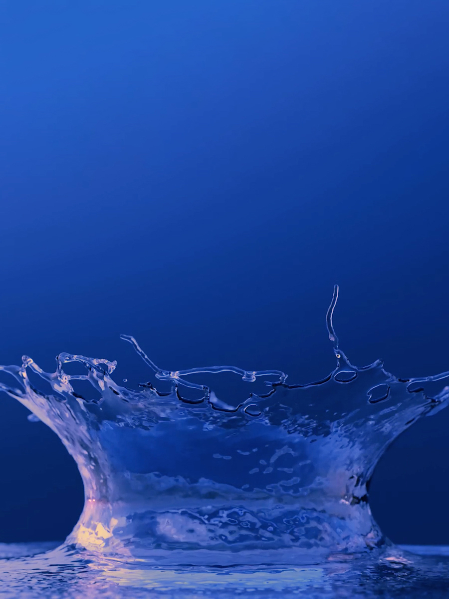 Branding and Marketing Development – Orlando FL